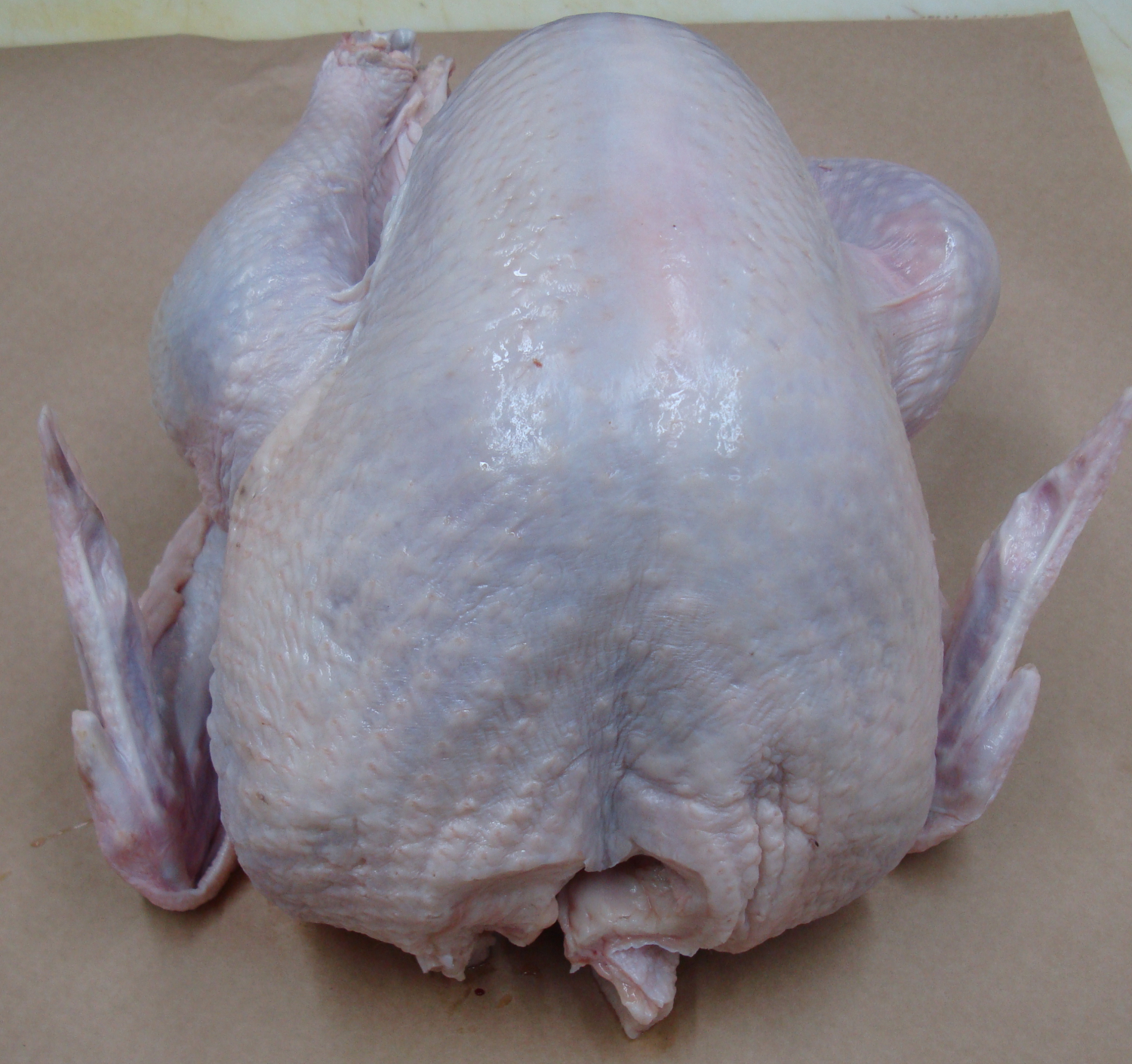 All Natural Turkeys - Mister Brisket